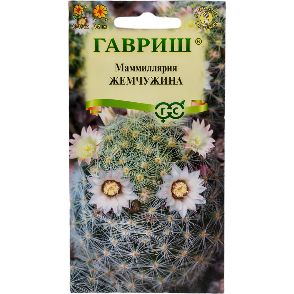 Маммиллярия шейдвелардиана, кактус ГАВРИШ Жемчужина 2 шт. 10711474 ...