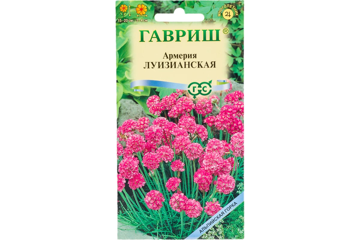 Семена ГАВРИШ Армерия Луизианская приморская 0 02 г серия Альпийская
