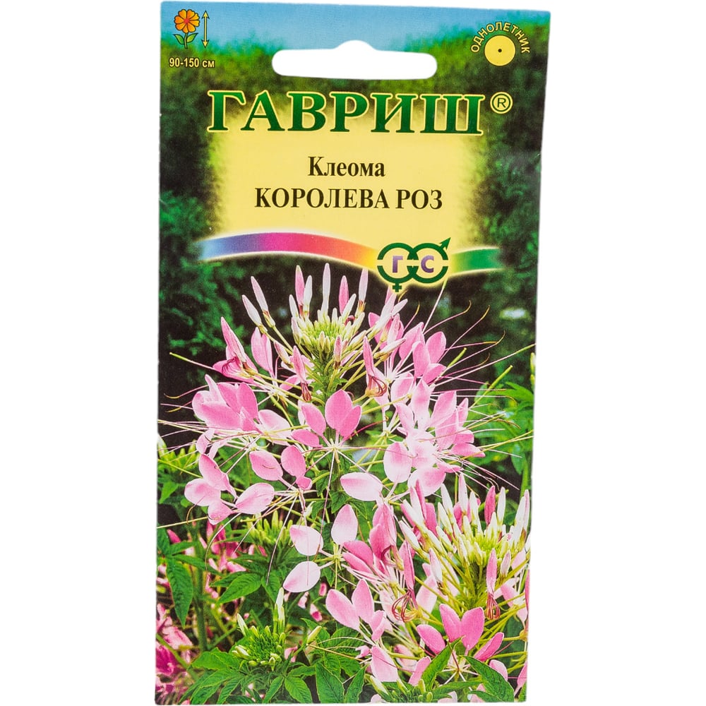 Клеома ГАВРИШ Королева роз 0.2 г 1071858787 - выгодная цена, отзывы ...