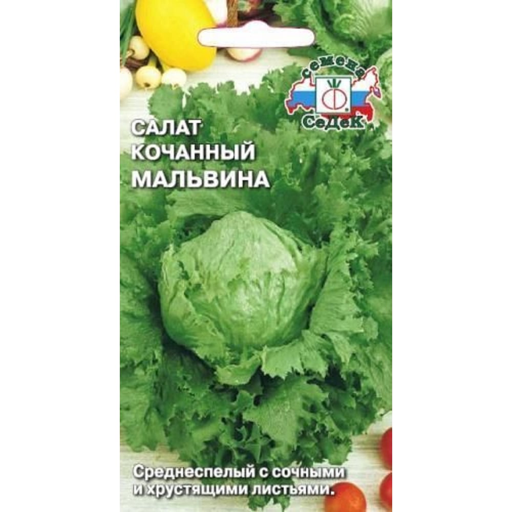 Салат СеДек Мальвина (айсберг) (ср.спел., окр.ср.плотн.,ср.разм/волнист ...