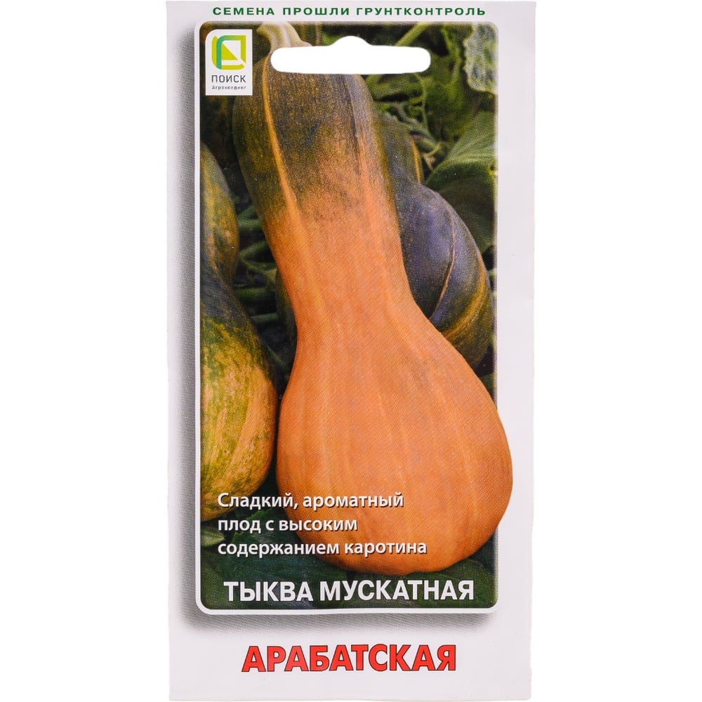 Тыква мускатная Агрохолдинг ПОИСК Арабатская 10шт 811611 - выгодная ...