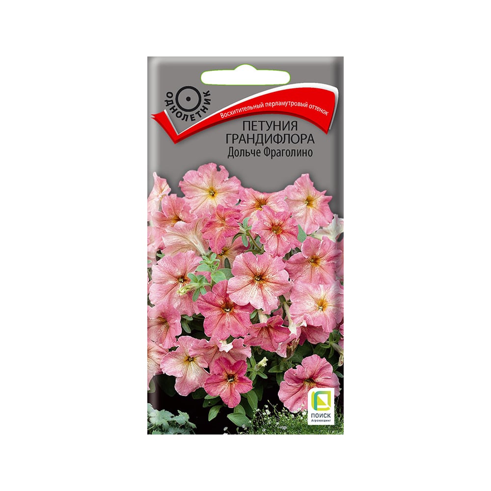 Петуния грандифлора Агрохолдинг ПОИСК Дольче Фраголино 10шт 420252 ...