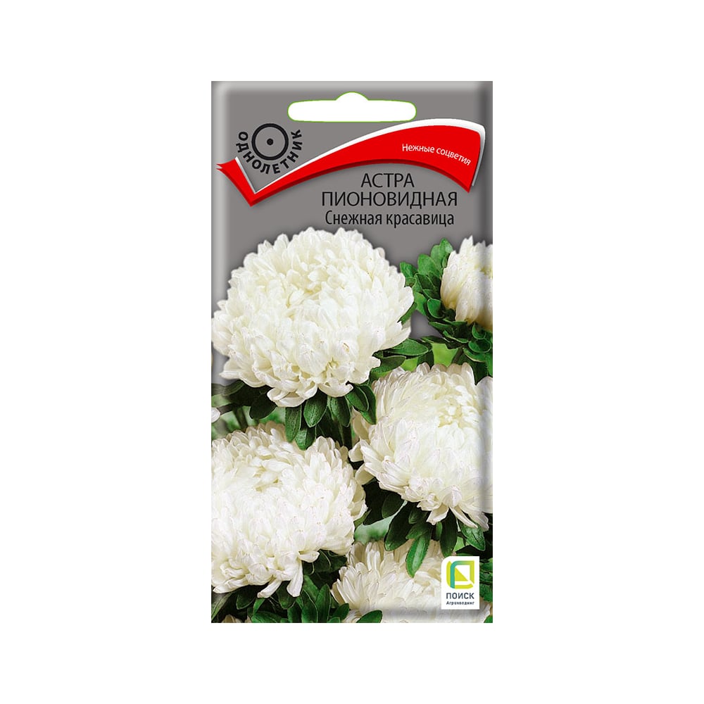 Астра Агрохолдинг ПОИСК пионовидная Снежная красавица 0,3гр 150283 ...