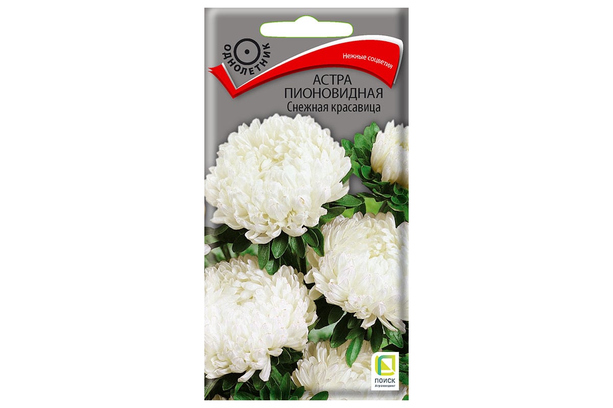 Астра Агрохолдинг ПОИСК пионовидная Снежная красавица 0,3гр 150283 ...