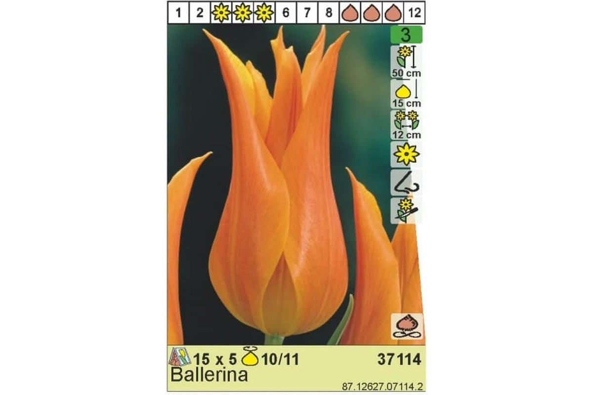 Луковица HBM Тюльпан Балерина 10/11 желтый, 5 шт. 37114 - выгодная цена ...