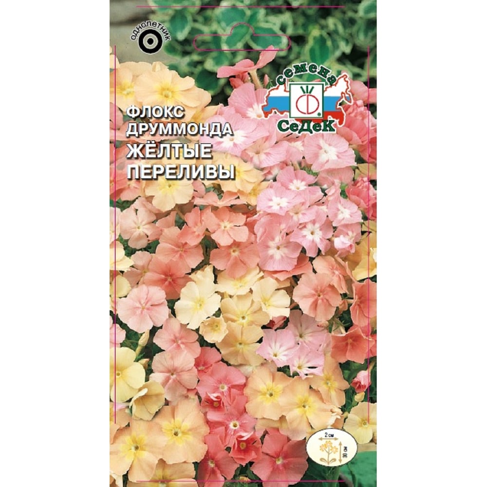Семена СеДек Флокс Желтые переливы 00000030974 - выгодная цена, отзывы ...