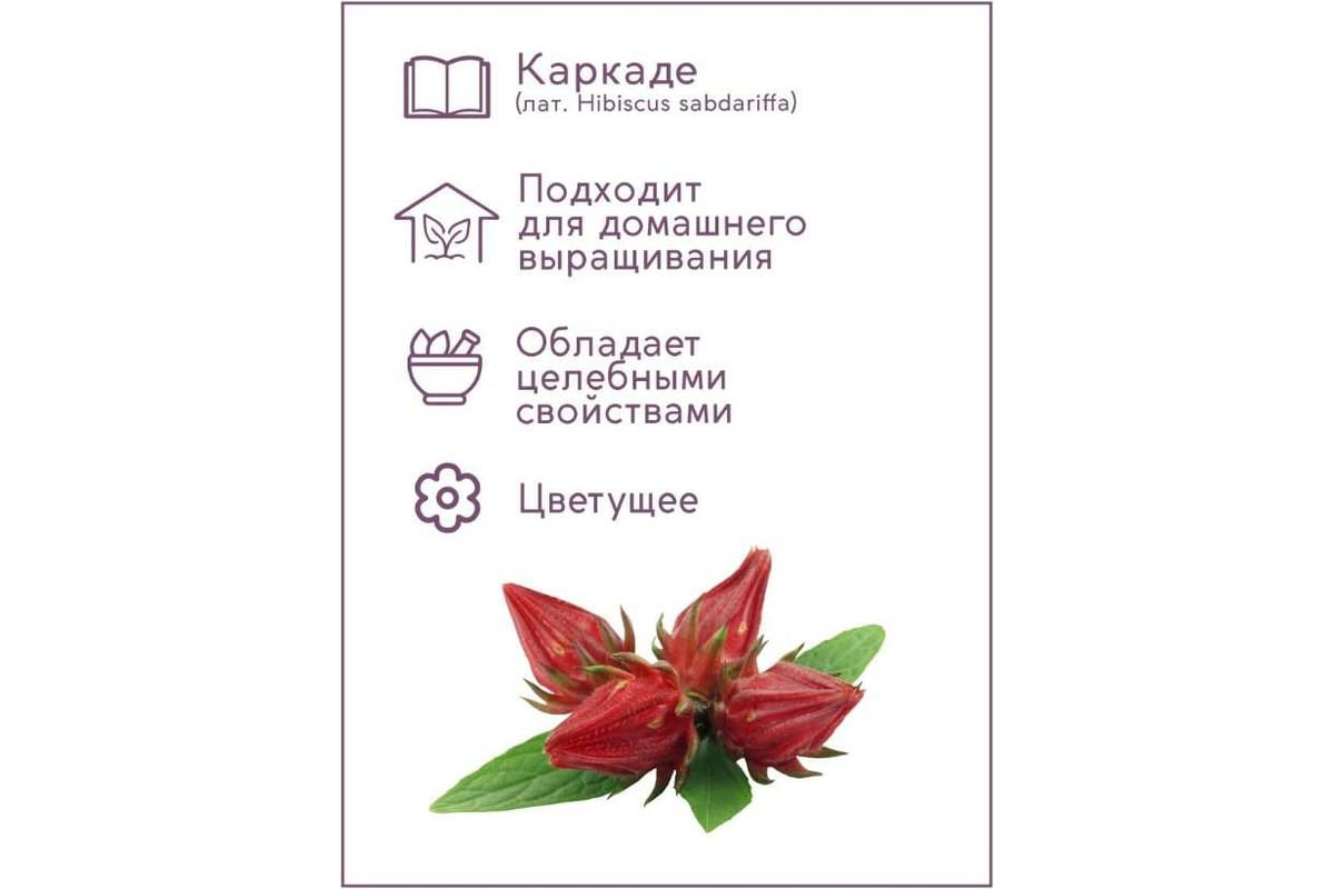Набор для выращивания растений Каркаде Тысяча Листьев Гибискус ...
