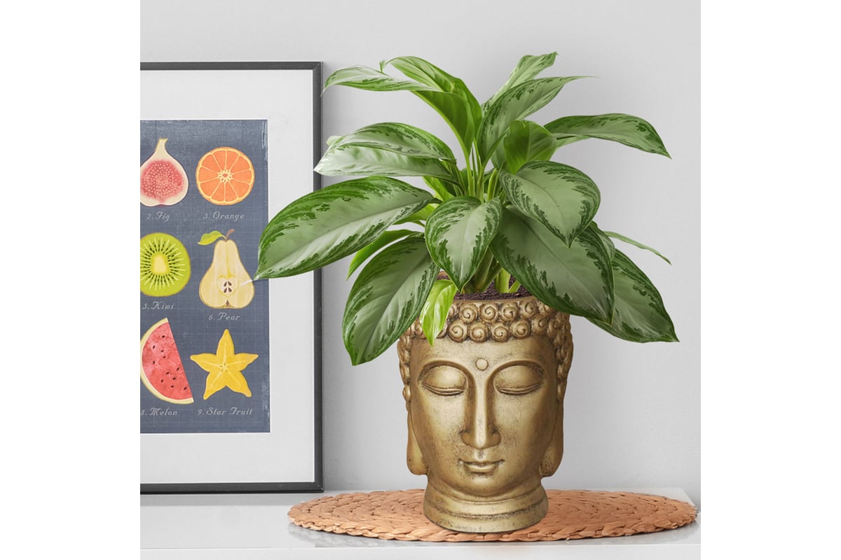 Настольное кашпо Idealist Lite Голова Будды, файберстоун, золотое BUD ...