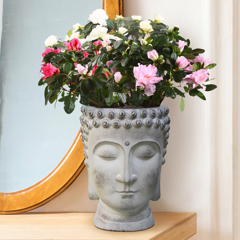 Настольное кашпо Idealist Lite Голова Будды, файберстоун, белое BUD-FP ...