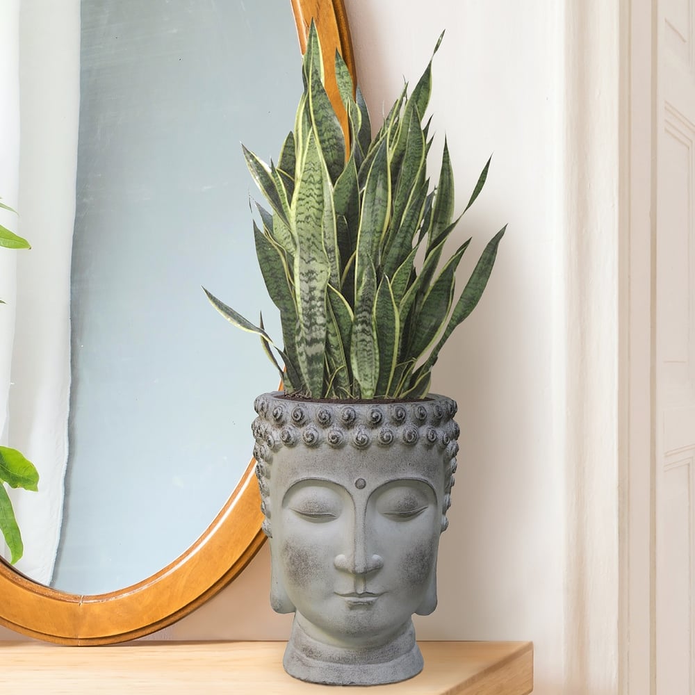 Настольное кашпо Idealist Lite Голова Будды, файберстоун, белое BUD-FP ...
