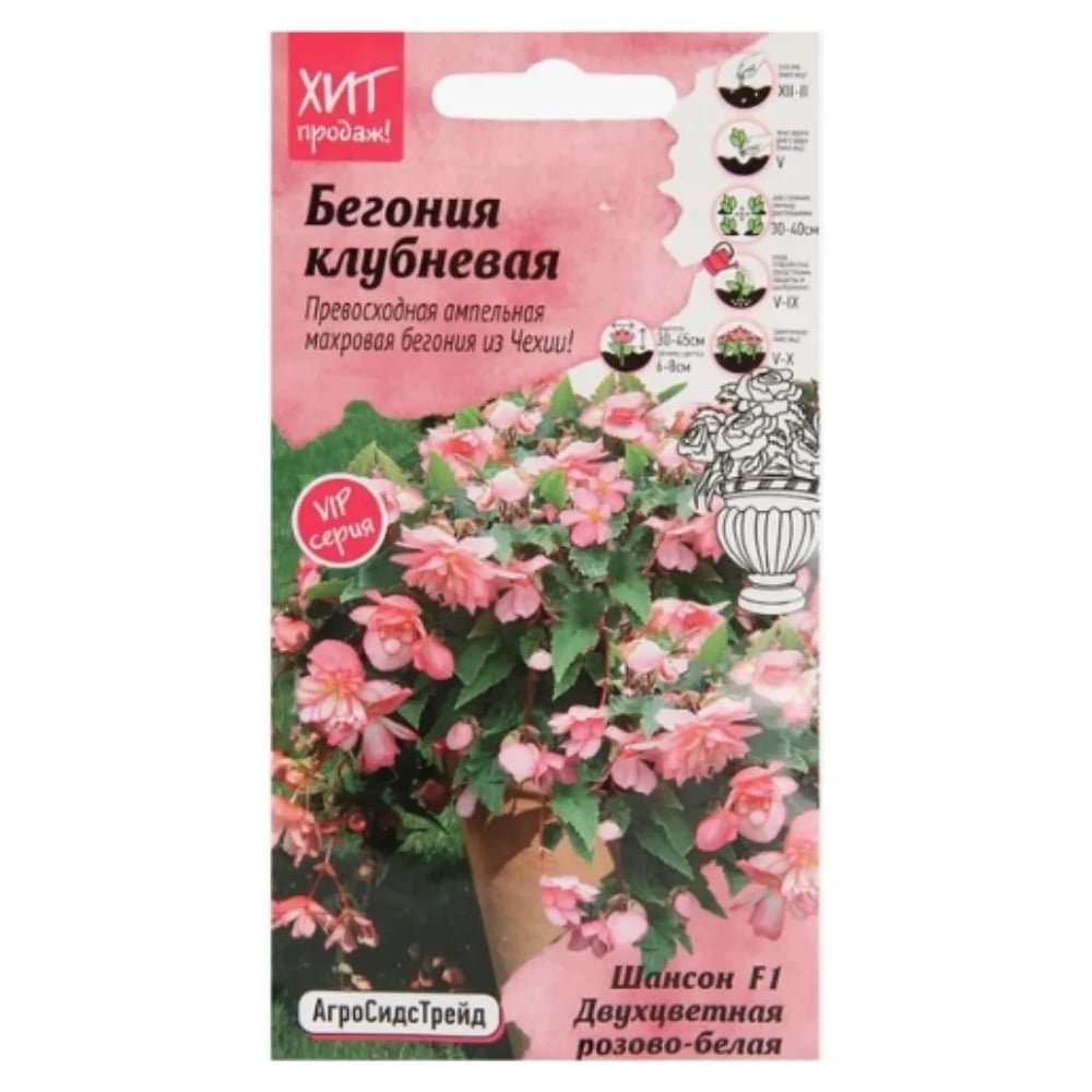 Клубневая бегония Агросидстрейд Шансон Двухцветная розово-белая F1 АСТ ...
