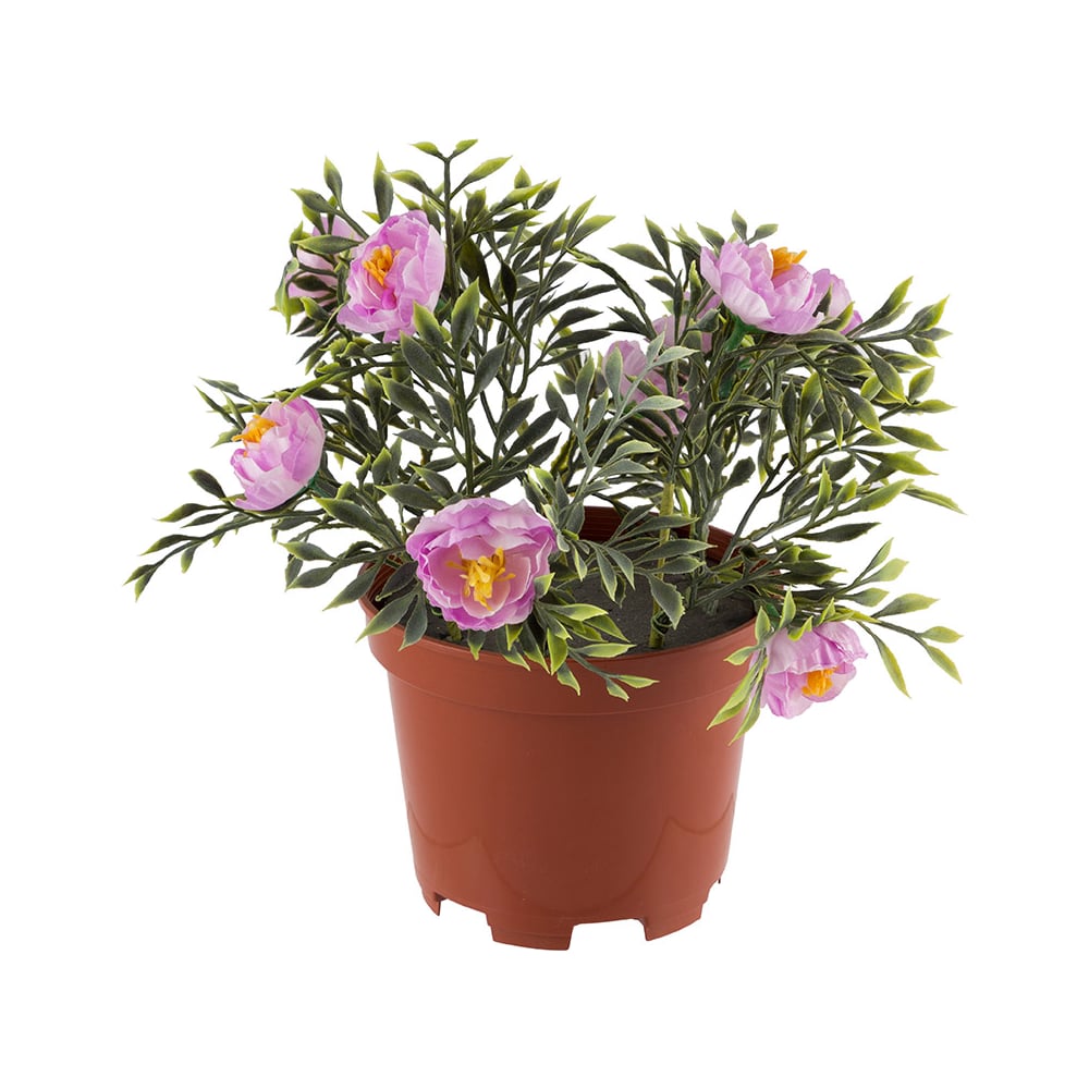 Горшок Волшебная страна Пион кустовой 004077 - выгодная цена, отзывы ...