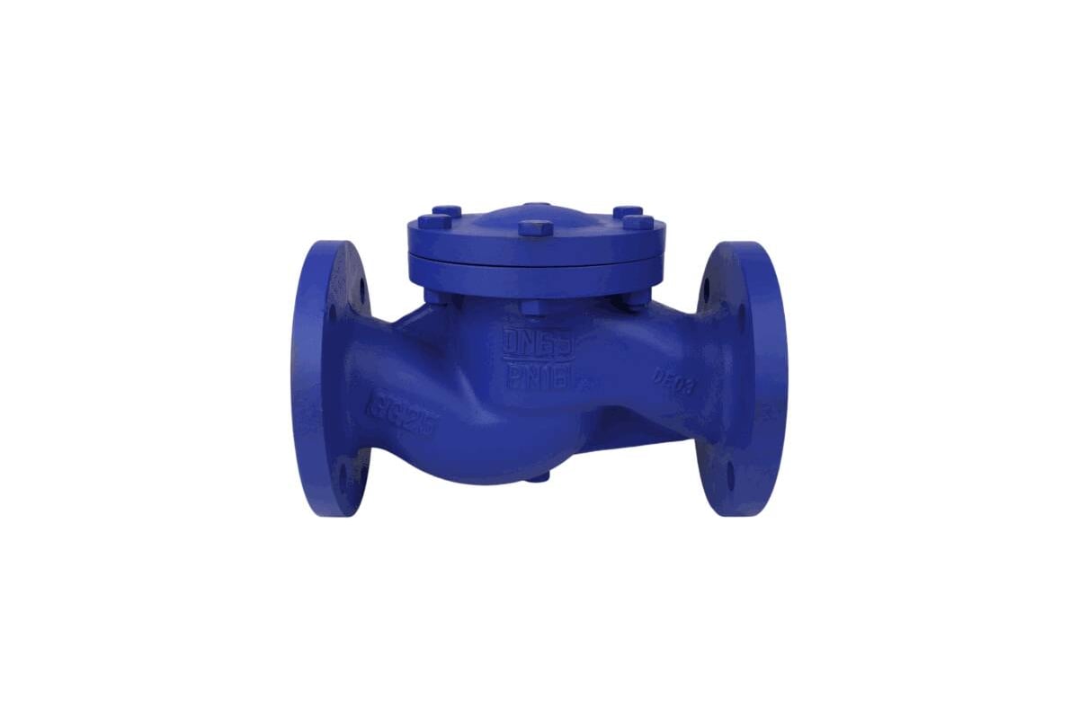 Клапан обратный Benarmo чугун, подъемный, Ду32, Ру16, фланцевый 019 ...