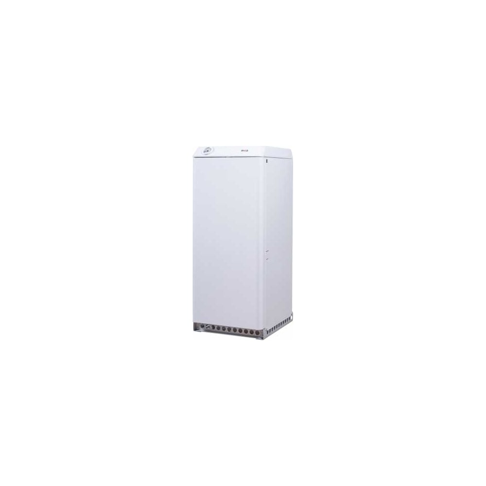 Напольный газовый котел RGA 11 TL (АОГВ) 2210359 4603027001430 ...