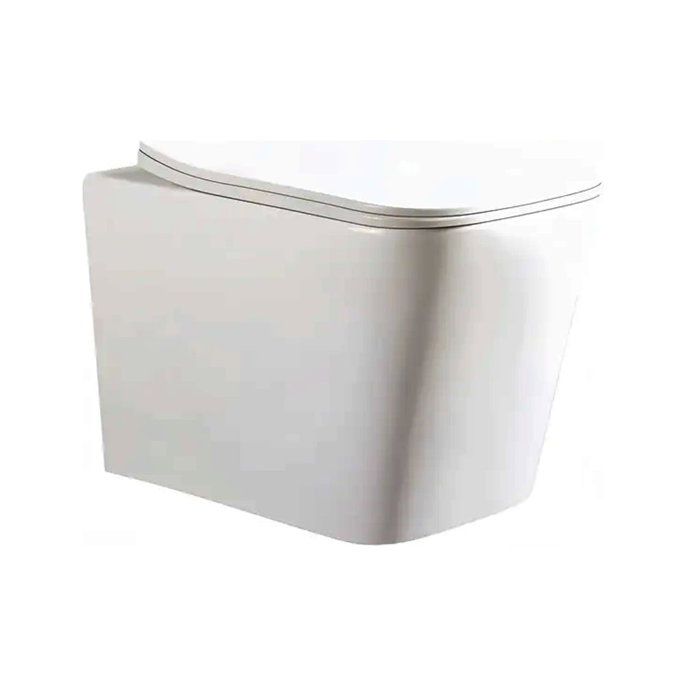 Унитаз подвесной Cerutti SPA Ceruttispa MAIELLA Aria PP безободковый с сиденьем микролифт 10479 ...