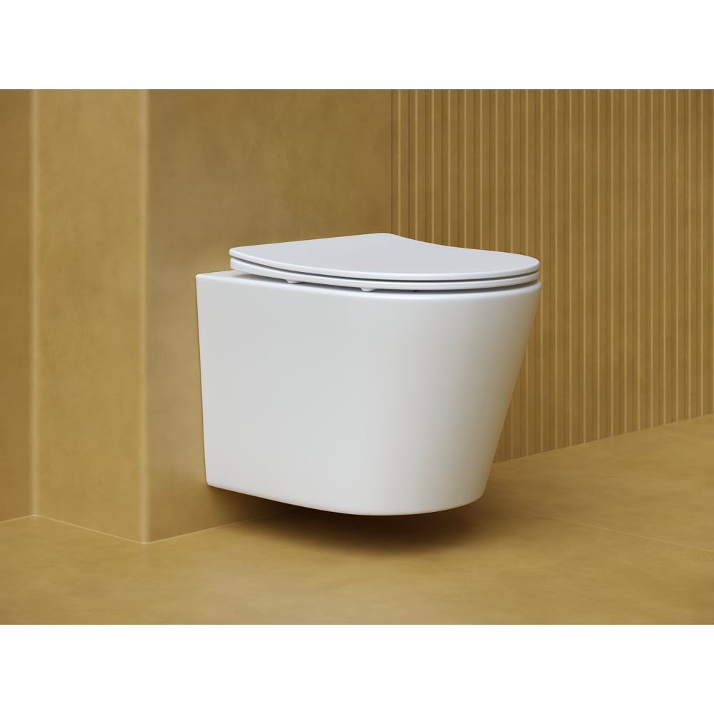 Подвесной унитаз Ceramicanova Balearica Rimless белый матовый CN6000MW ...