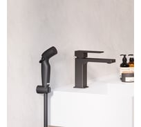 Смесители для раковины с гигиеническим душем - купить кран для ...