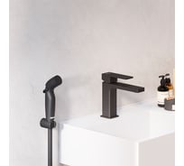 Смесители для раковины с гигиеническим душем - купить кран для ...