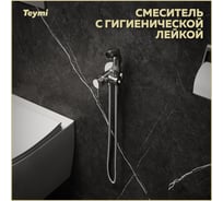 Смесители для раковины с гигиеническим душем - купить кран для ...