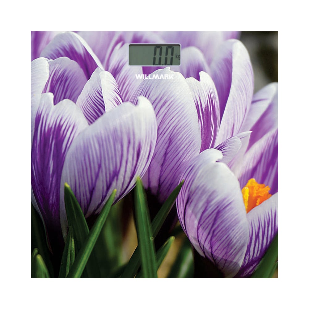 Напольные весы Willmark WBS-1811D макс. вес 180 кг, без измер. темп ...