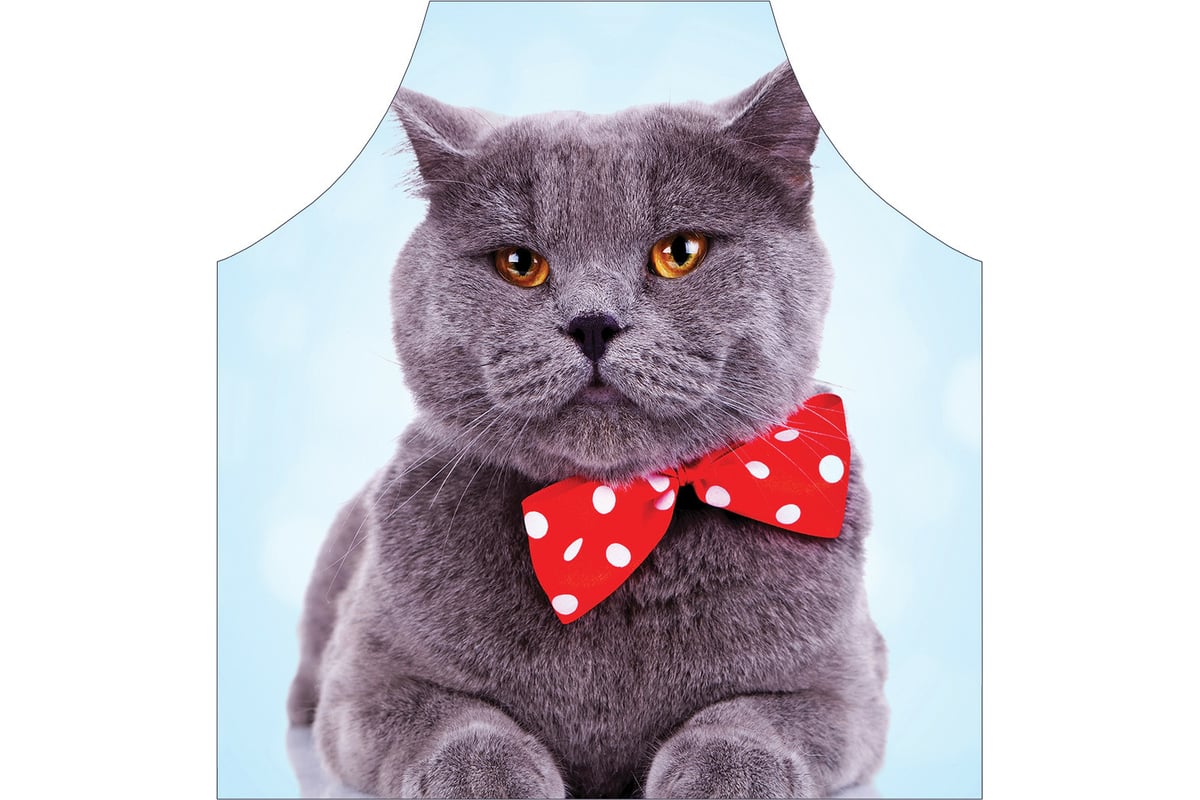 Кухонный фартук JOYARTY Серый Тема шотландская вислоухая, универсальный размер для женщин и ...