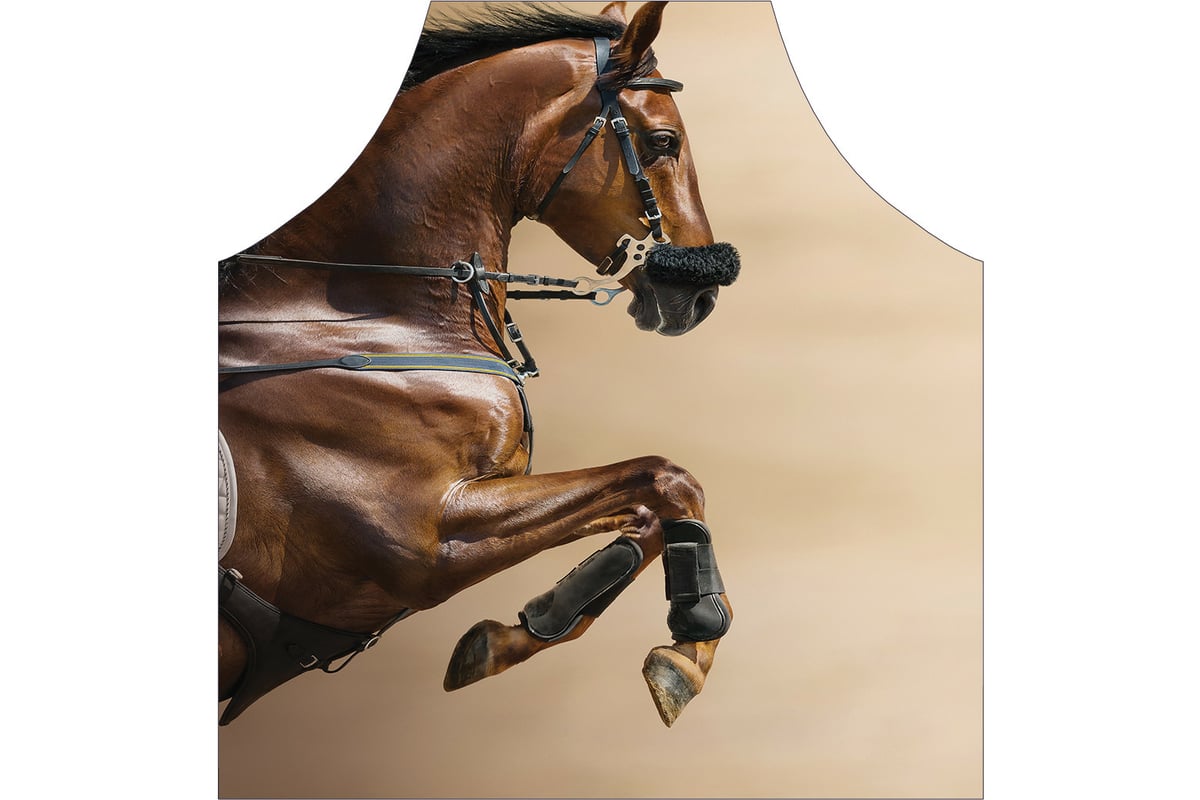 Кухонный фартук JOYARTY Смелая лошадь, универсальный размер для женщин и мужчин ap_16153 ...