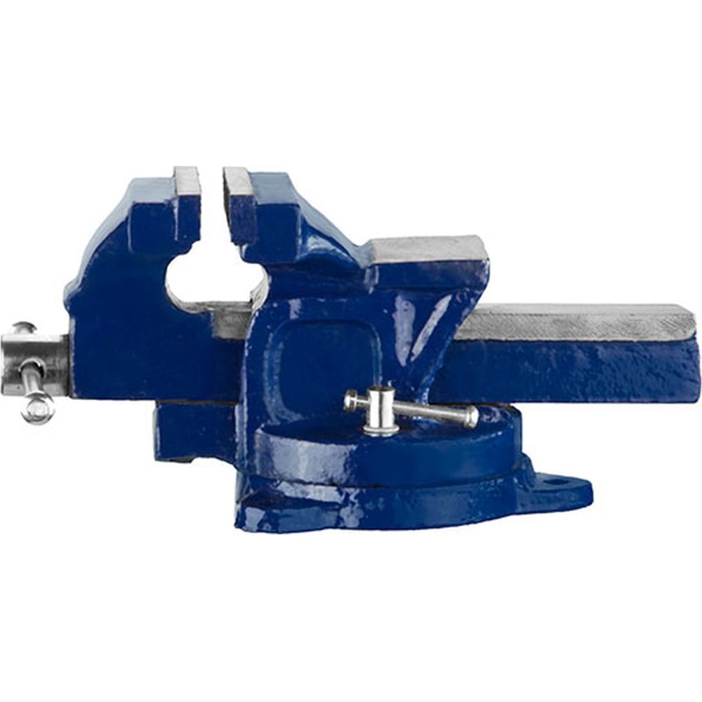 Слесарные поворотные тиски РАДИАНТ ТСЧ-75 75 мм, чугунные 48000 ...