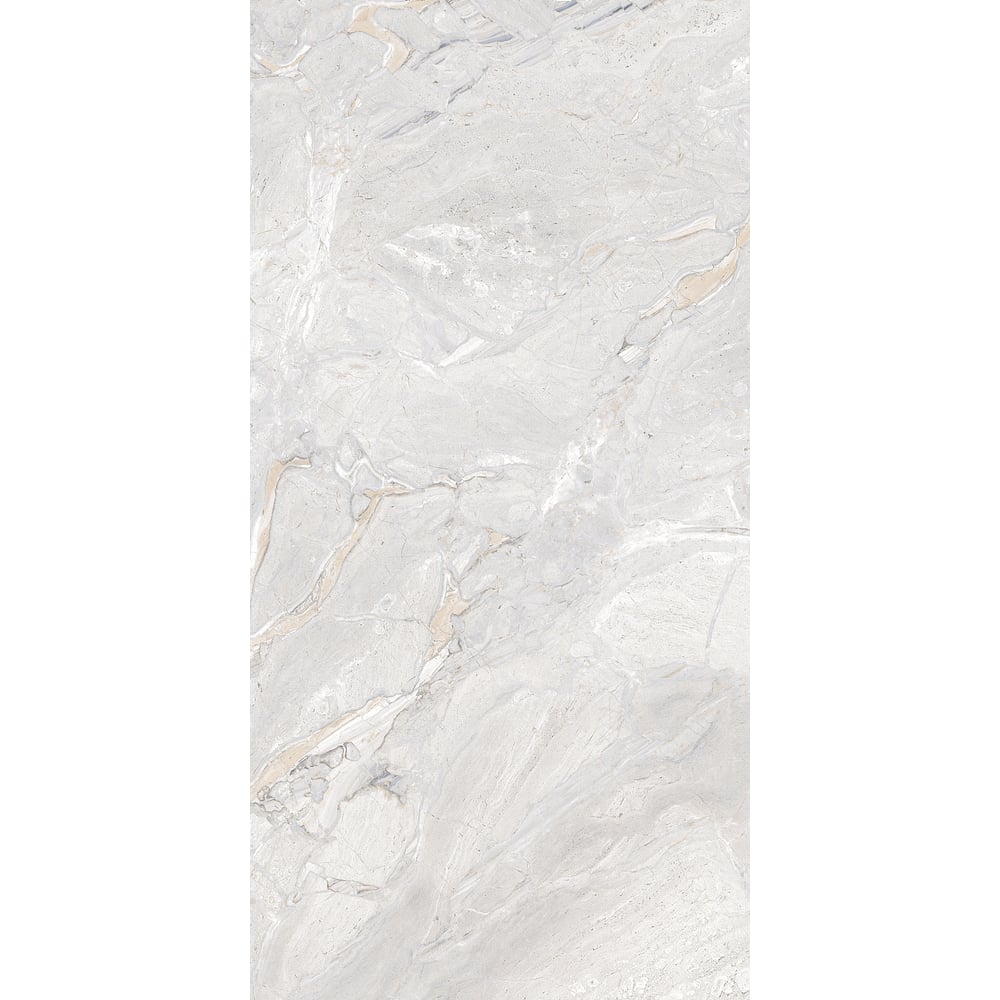 Керамогранит Evolution Ceramic 60x120 TERRACOTTAPRO Domino Bianco ...