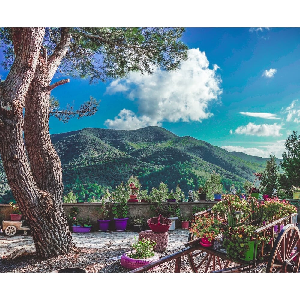 Фотообои PRIMAVERA Сицилия PV-1045-P4 - выгодная цена, отзывы ...