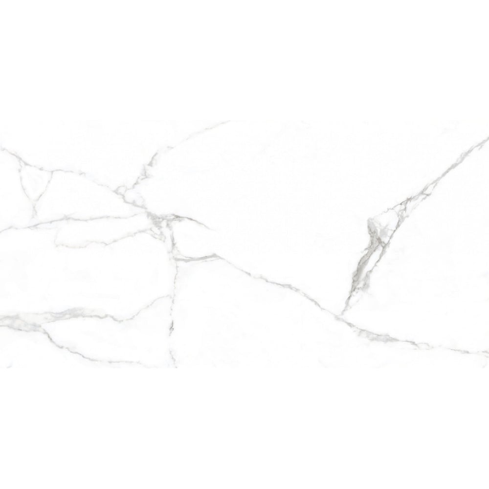 Керамогранит LAPARET mars grey белый 60x120 см., уп. 1,44 м2., 2 шт. в уп х9999295346 - выгодная ...