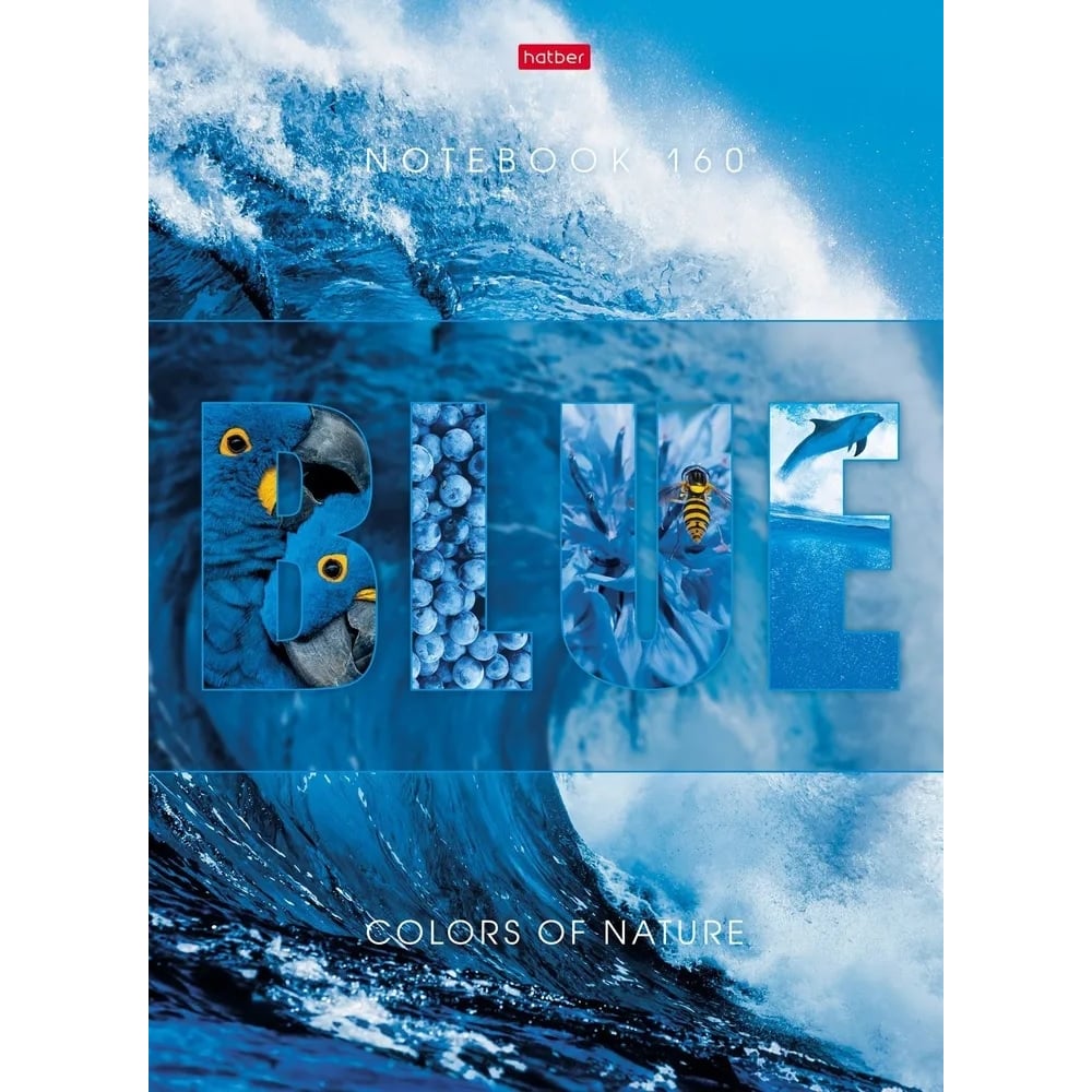 Бизнес-блокнот Hatber 160 л, А4, 5-цветов, блок клетка, твердый переплет, глянцевая ламинация ...