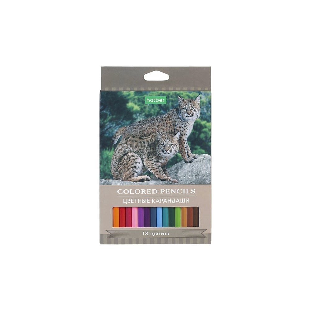 Цветные карандаши Hatber ECO 18 цв., Дикая планета 070637 - выгодная цена, отзывы ...