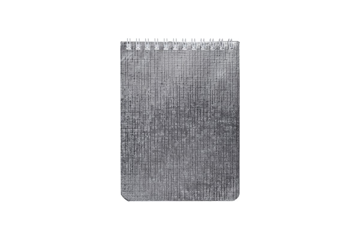 Блокнот Hatber METALLIC 40 л, А6, клетка, обложка бумвинил, серебро, 96 шт в упаковке 059257 ...