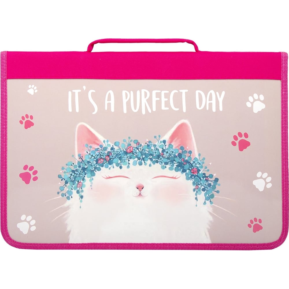 Папка для труда BRAUBERG Purfect Day А4, с ручкой, 1 отделение, органайзер, молния вокруг 270342 ...