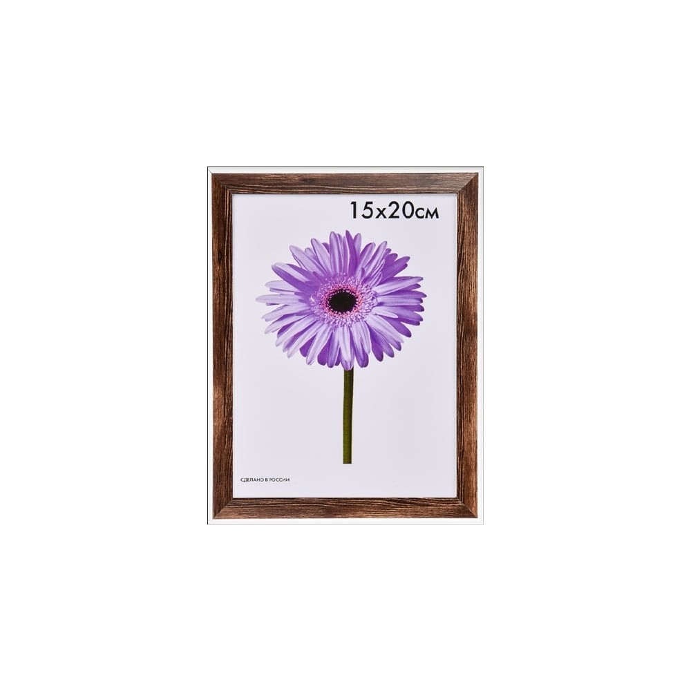 Пластиковая рамка ООО Изометрика Lada 21x30 см орех 0097-8-0006 ...