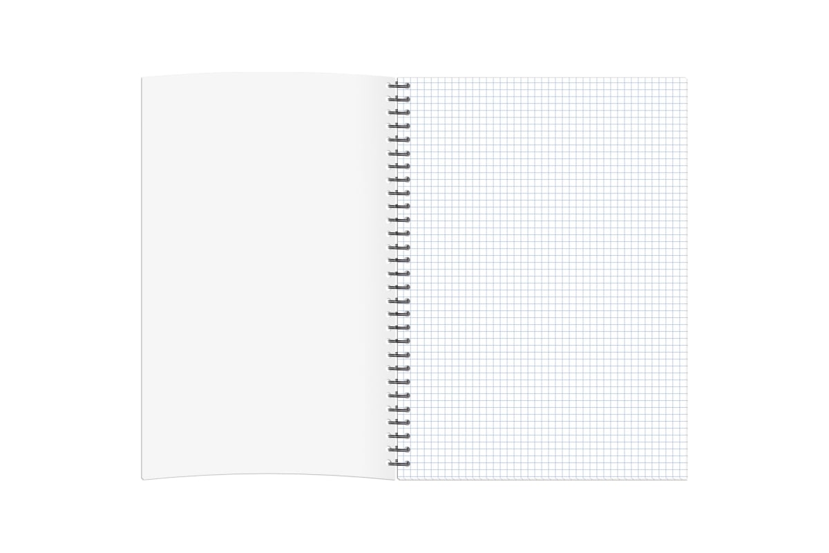 Бизнес-тетрадь Attache Economy Office Style А4, 96 листов, картонная обложка, гребень, клетка ...