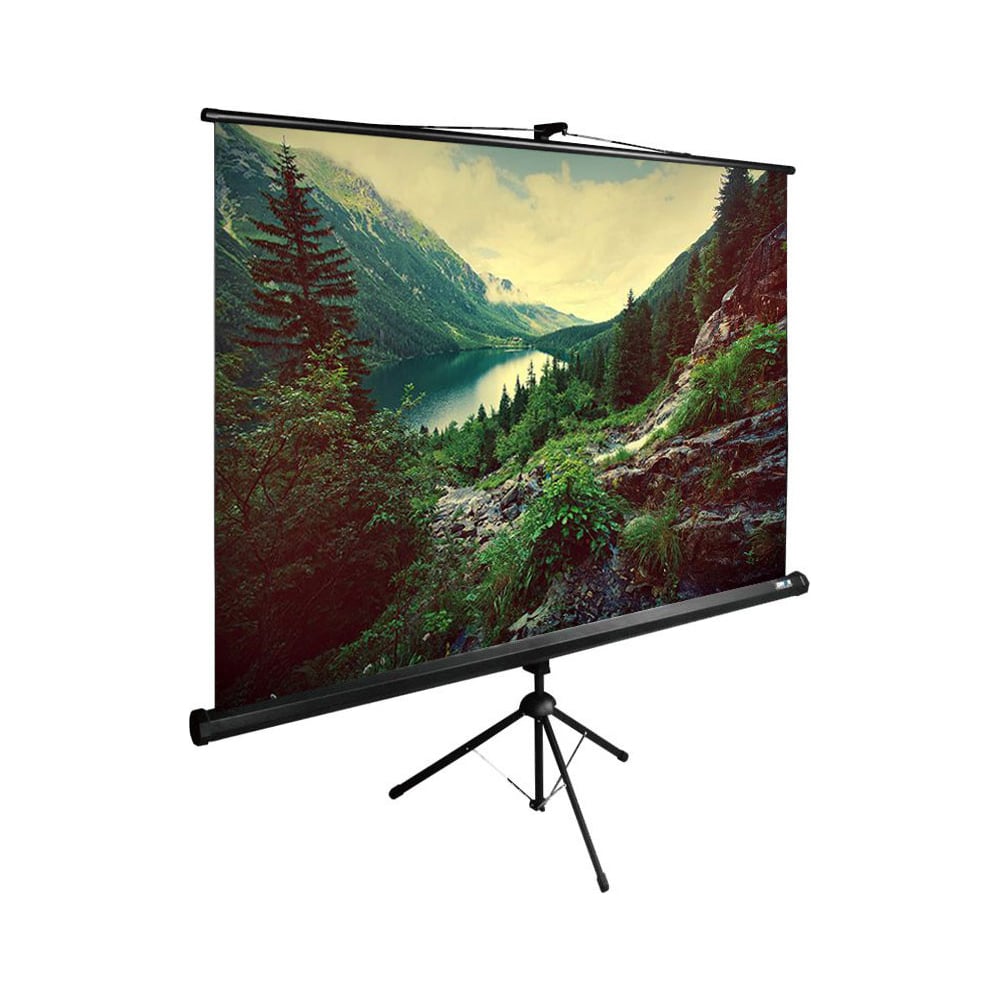 Напольный рулонный экран Cactus TriExpert 1:1, 220x220 см, черный CS ...