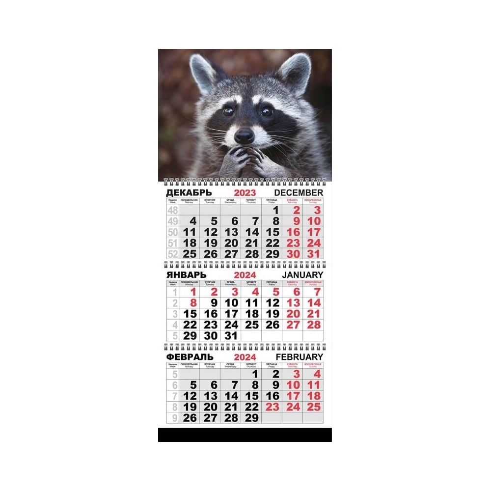 Настенный календарь Attache крошка енот трио стандарт 2024, 295x710, 80 ...