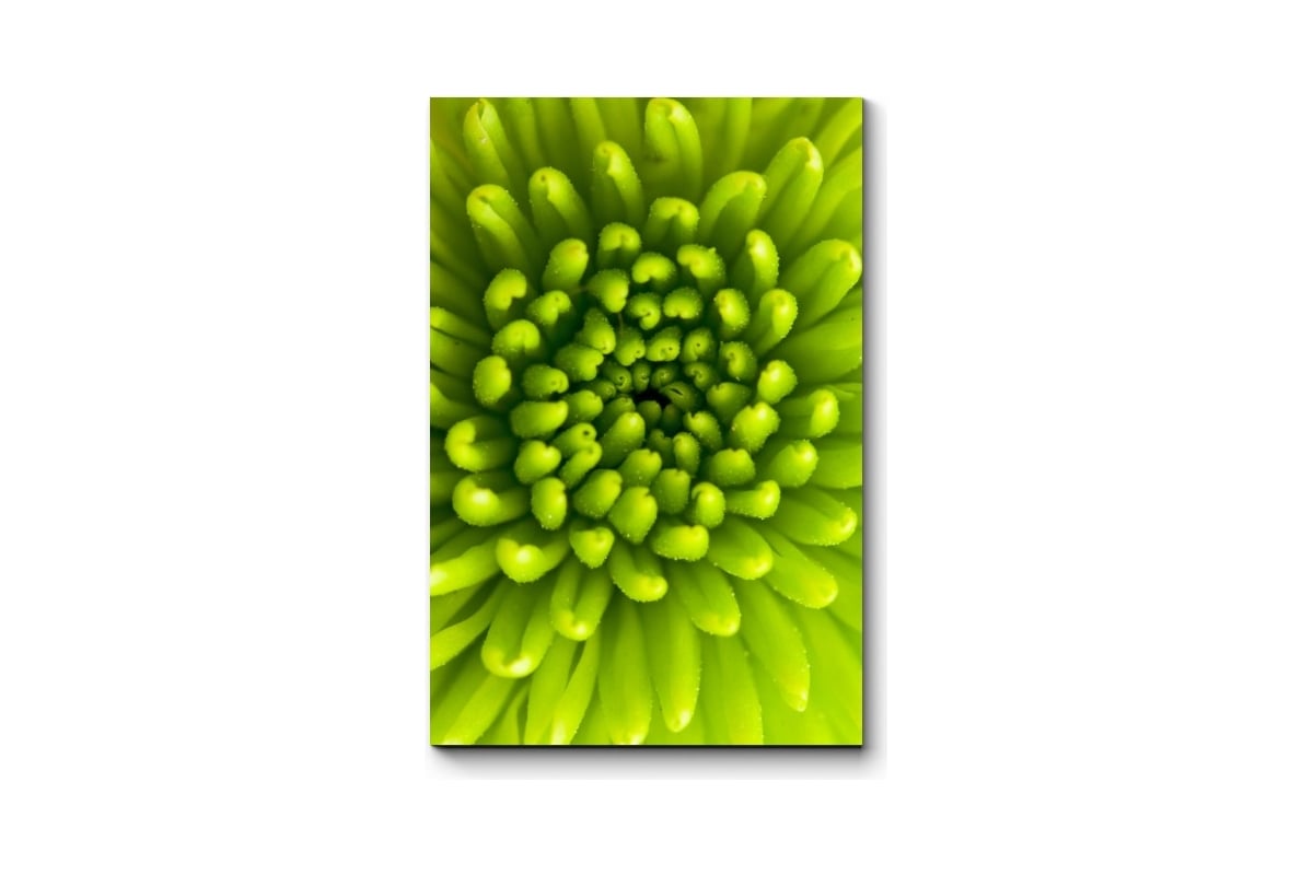 Картина Picsis Сердце цветка 2414-9900541 - выгодная цена, отзывы ...