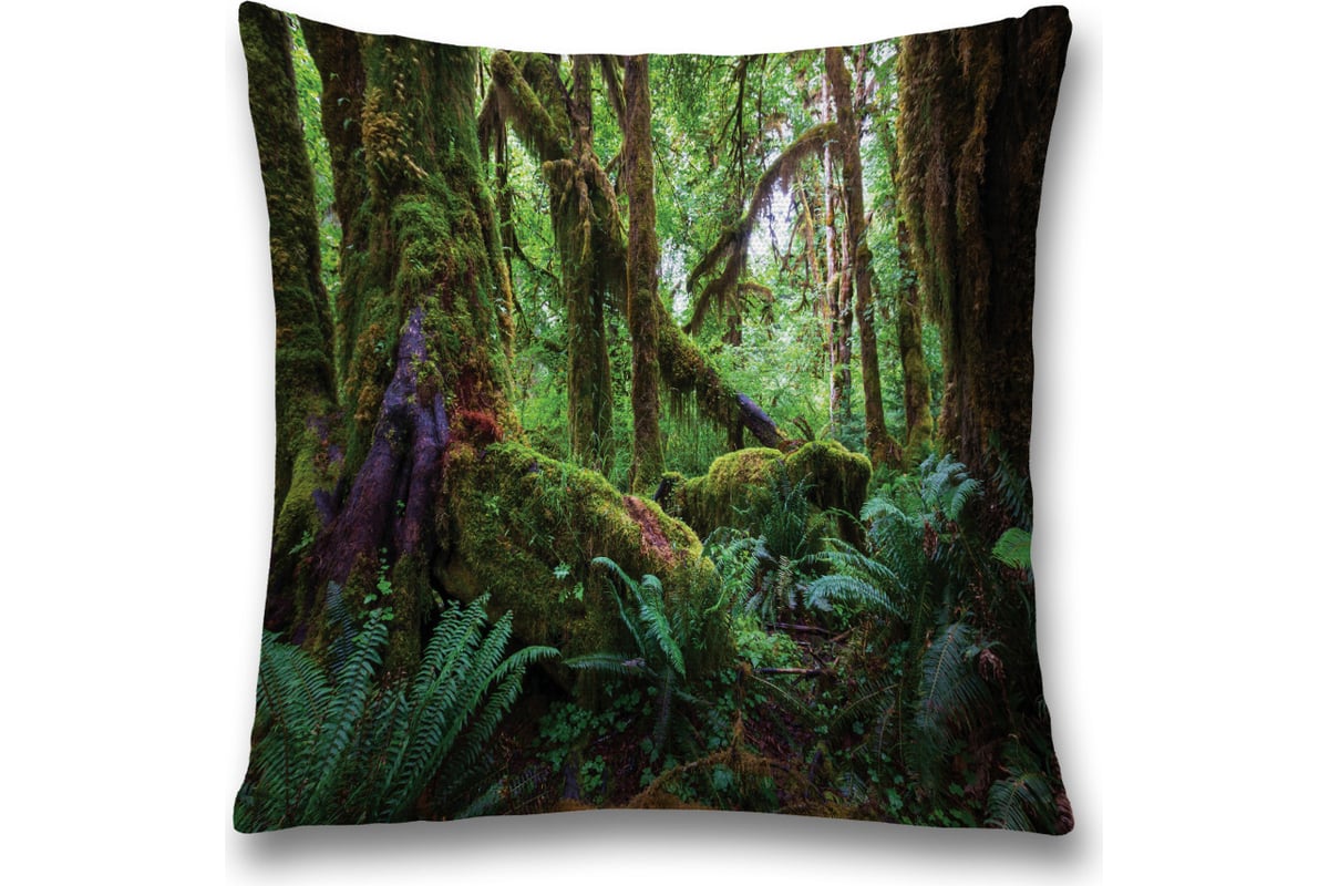 Декоративная наволочка JoyArty sl_19694 - выгодная цена, отзывы, характеристики, фото - купить в ...