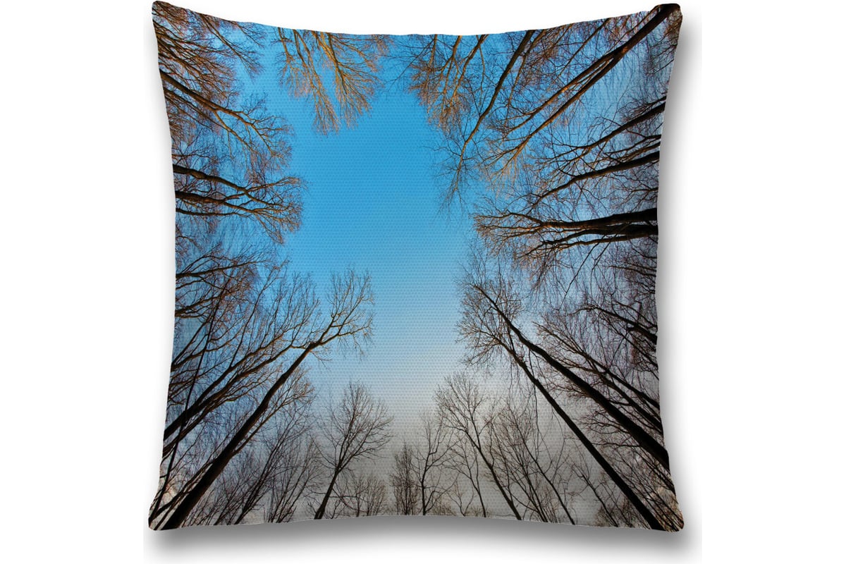 Декоративная наволочка JoyArty sl_20673 - выгодная цена, отзывы, характеристики, фото - купить в ...