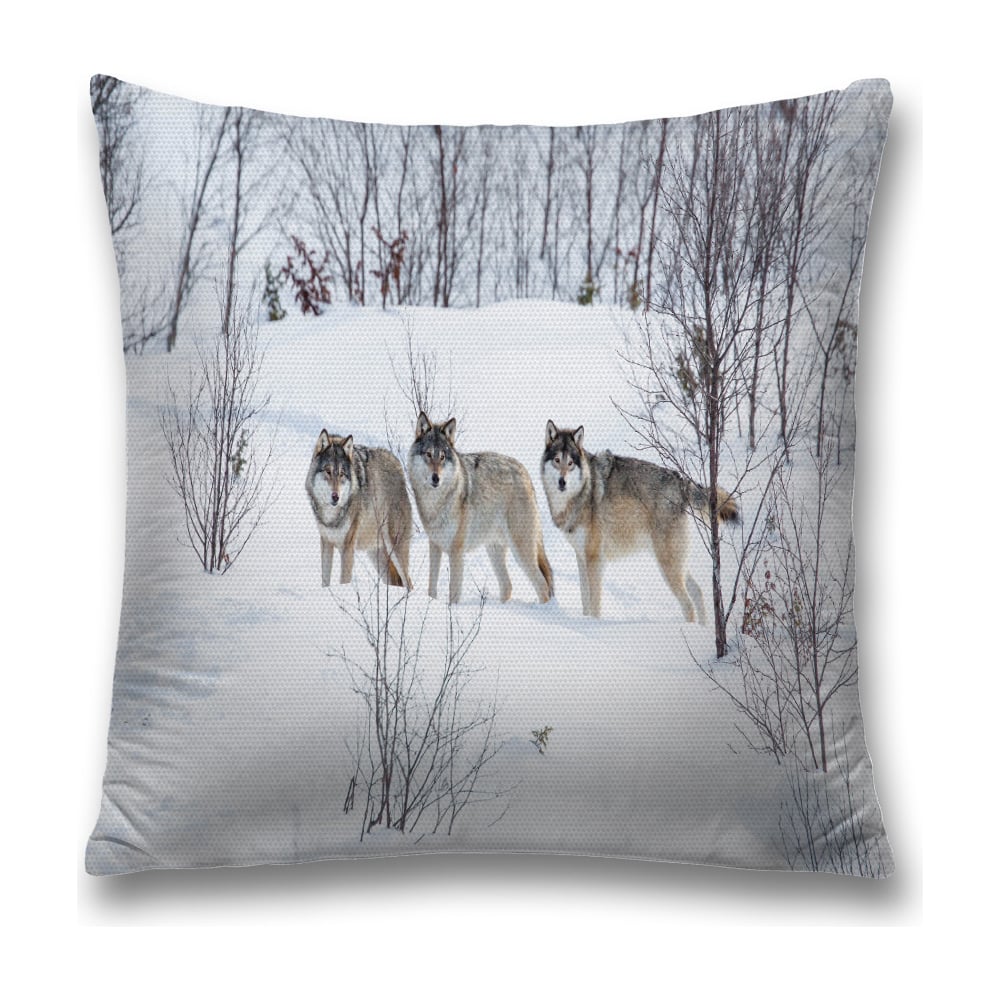 Декоративная наволочка JoyArty sl_18884 - выгодная цена, отзывы, характеристики, фото - купить в ...