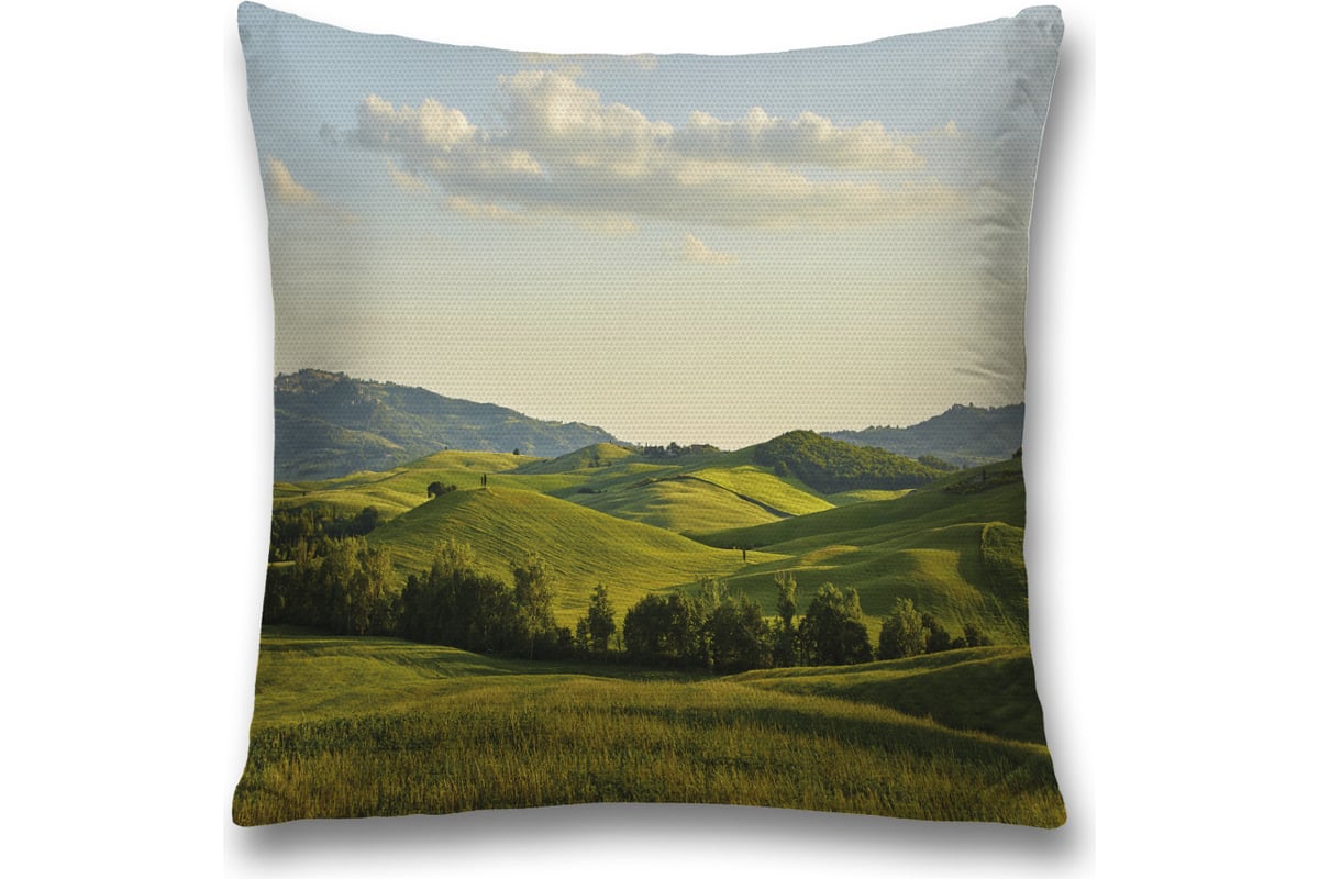 Декоративная наволочка JoyArty sl_32819 - выгодная цена, отзывы ...