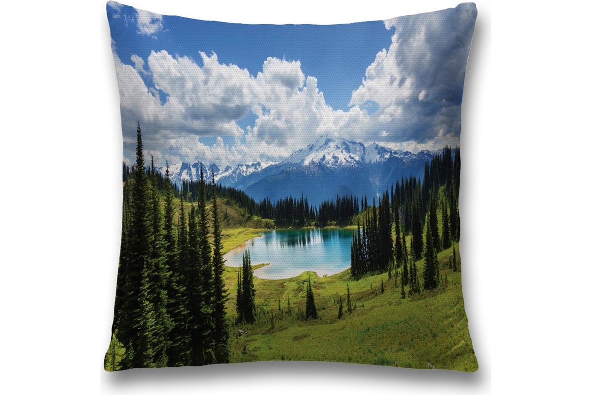 Декоративная наволочка JoyArty sl_20748 - выгодная цена, отзывы, характеристики, фото - купить в ...