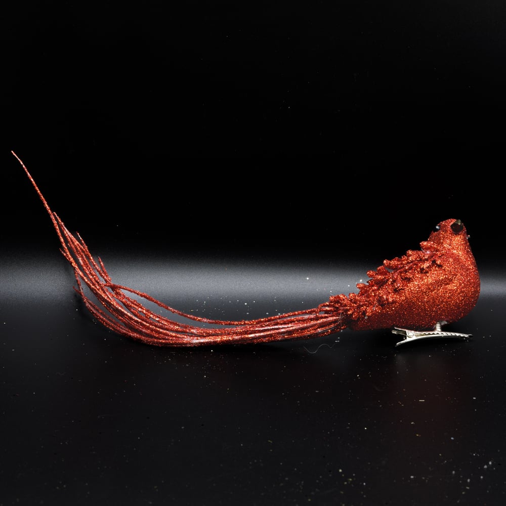 Шар Садовита Птичка на прищепке 1 шт., 27 см, красный 218374 - выгодная ...