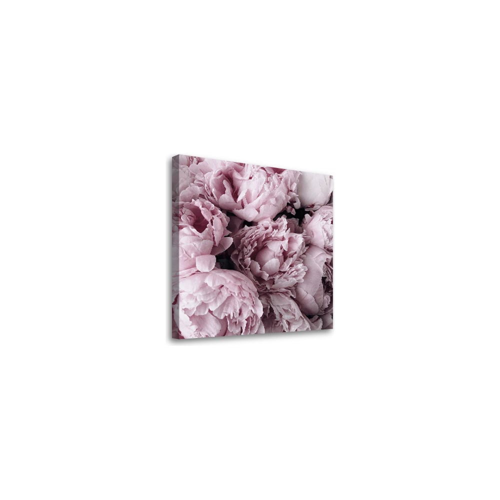 Картина-постер Студия фотообоев розовые пионы 50x50 см 2336636 ...