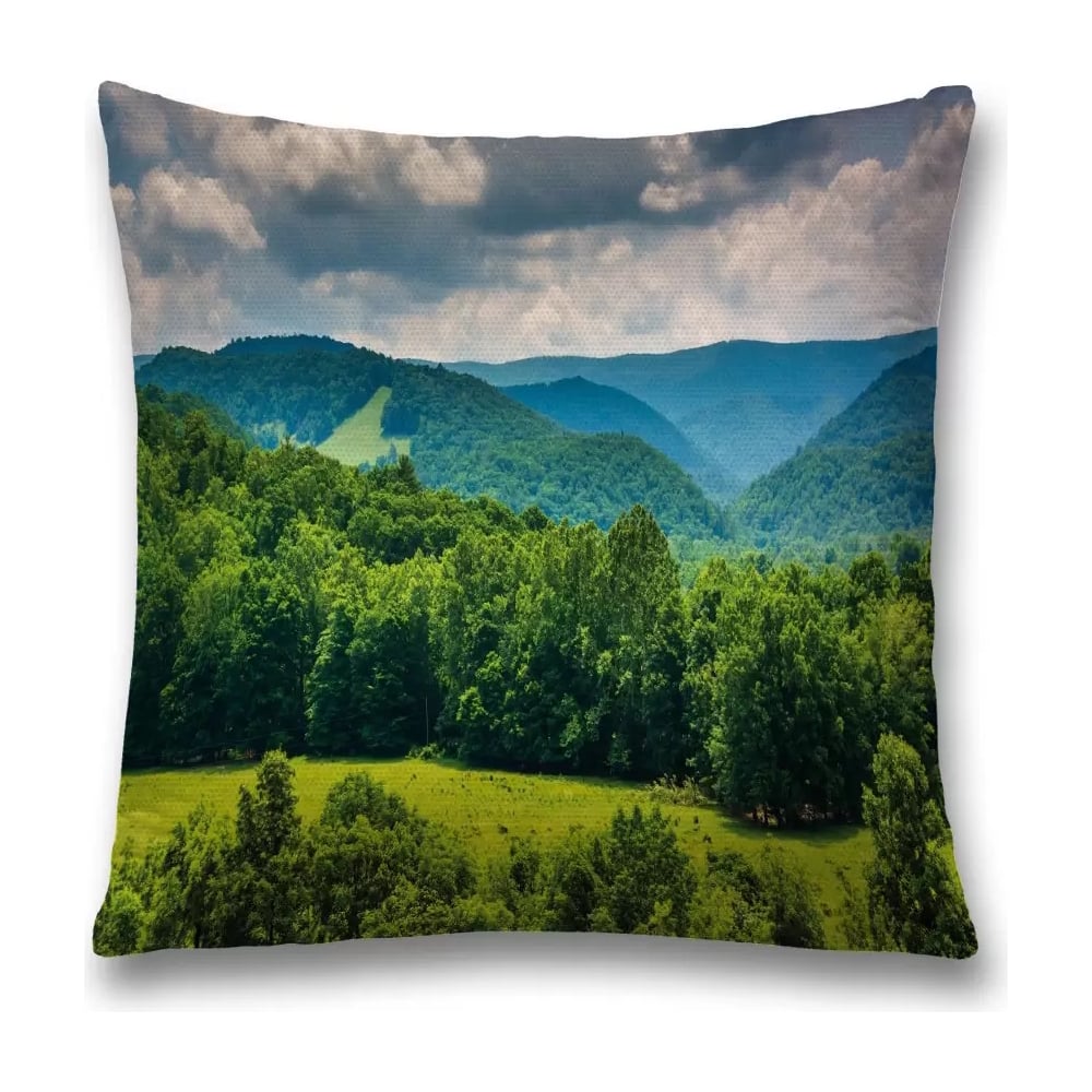 Декоративная наволочка JoyArty sl_30448 - выгодная цена, отзывы, характеристики, фото - купить в ...