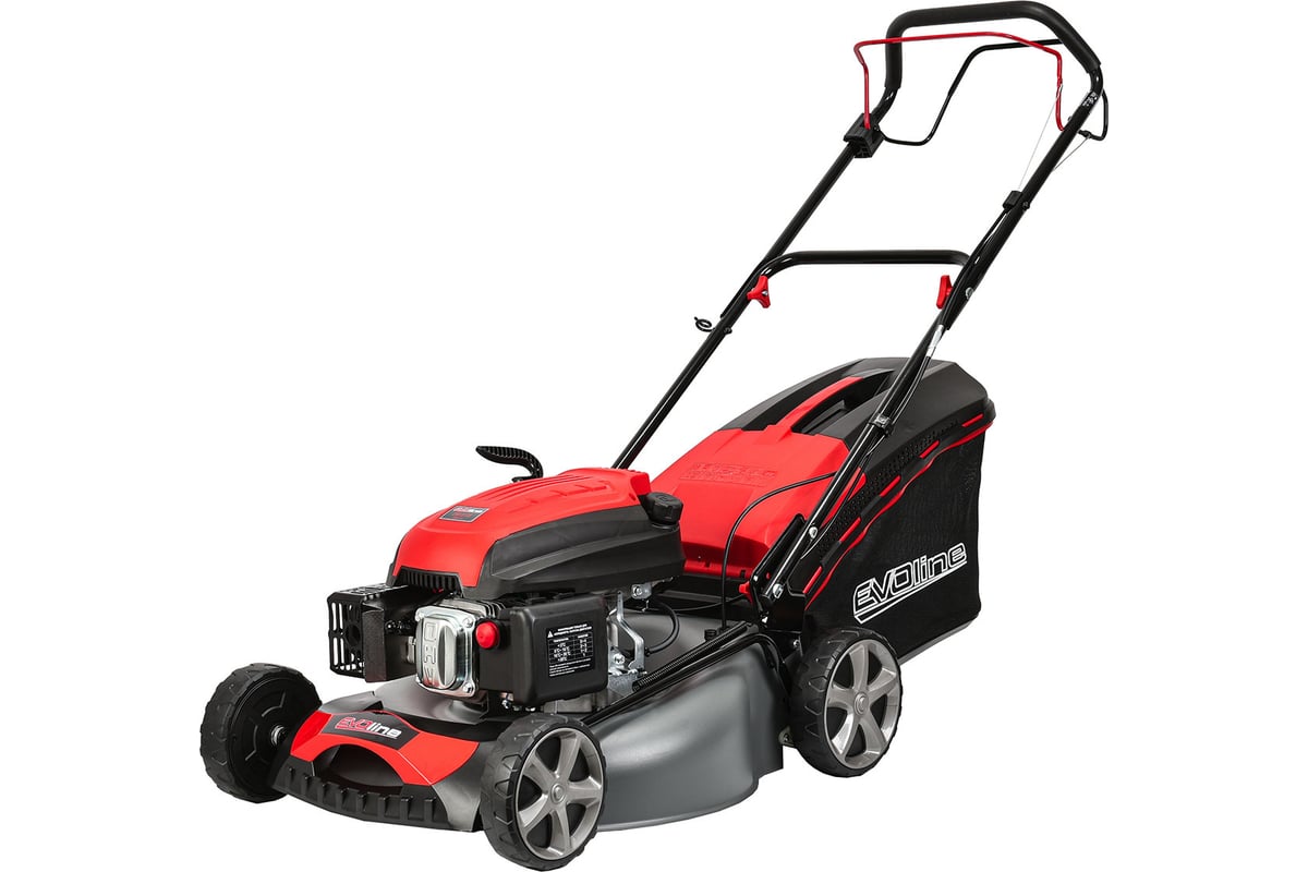 Бензиновая газонокосилка Evoline LMG51CS - выгодная цена, отзывы ...