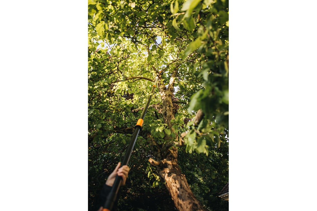 Высоторез Fiskars UPX86 1023624 - выгодная цена на телескопический ...