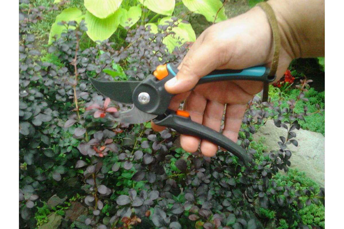Секатор GARDENA B/M 08904-20.000.00 - выгодная цена, отзывы ...